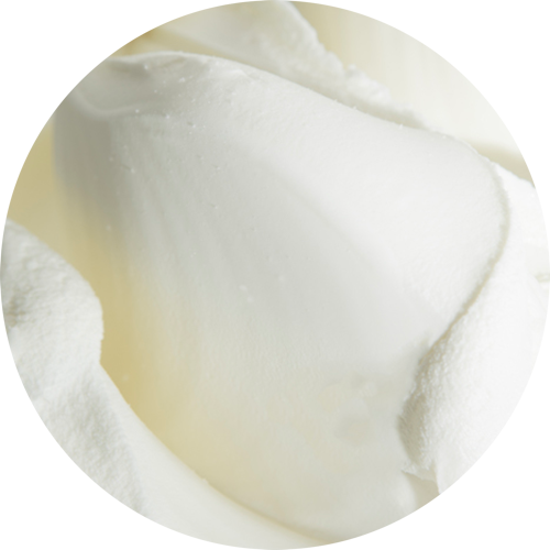 PreGel - Neutro Stabilizer (10 x 1kg Case) - Canadian Distribution - S ...